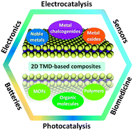 Two-dimensional transition metal dichalcogenide nanosheet-based ...