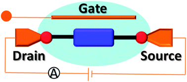 Break junction under electrochemical gating: testbed for single ...