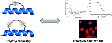 Peptide stapling techniques based on different macrocyclisation ...