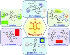 Diketopyrrolopyrrole: brilliant red pigment dye-based fluorescent ...