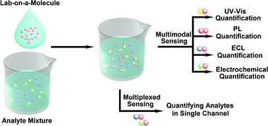 Design strategies for lab-on-a-molecule probes and orthogonal sensing ...