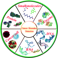 Cancer biomarker detection: recent achievements and challenges ...