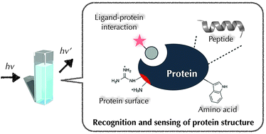 Protein recognition using synthetic small-molecular binders toward ...