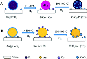 Comparative studies of redox behaviors of Pt–Co/SiO2 and Au–Co/SiO2 ...