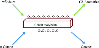 The effect of the oxidation environment on the activity and selectivity ...