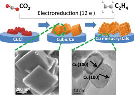 Stable and selective electrochemical reduction of carbon dioxide to ...