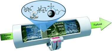 When catalyst meets reactor: continuous biphasic processing of xylan to ...