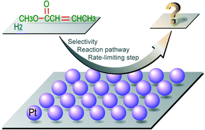 Methyl Crotonate