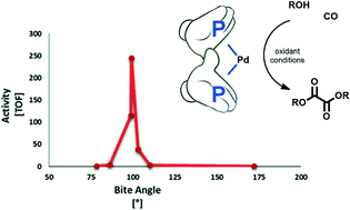 Palladium catalyzed oxidative carbonylation of alcohols: effects of ...