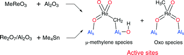 MeReO3/Al2O3 and Me4Sn-activated Re2O7/Al2O3 alkene metathesis ...