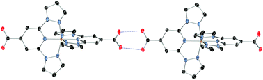 A spin-crossover complex based on a 2,6-bis(pyrazol-1-yl)pyridine (1 ...