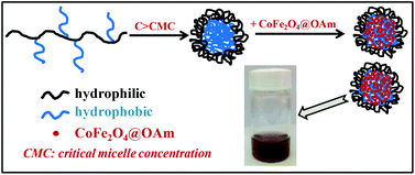 Application of hydrophobically modified water-soluble polymers for the ...