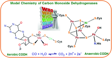 Bioinorganic modeling chemistry of carbon monoxide dehydrogenases ...