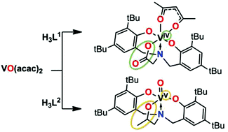 Vanadium complexes with multidentate amine bisphenols - Dalton Transactions (RSC Publishing)