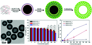 Synthesis of hollow mesoporous silica nanoparticles with tunable shell ...
