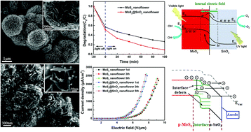 Facile synthesis of novel MoS2@SnO2 hetero-nanoflowers and enhanced ...