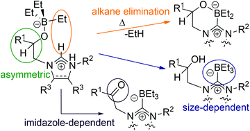 Protonolysis and thermolysis reactions of functionalised NHC–carbene ...