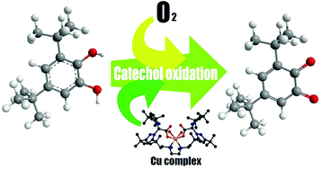 Synthesis, structure, and catecholase activity of bispyrazolylacetate ...
