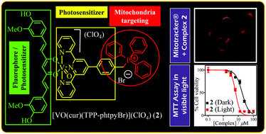Oxovanadium(iv) complexes of curcumin for cellular imaging and ...