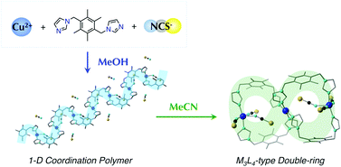 Two new coordination polymers, a trinuclear metal complex and their ...