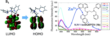 Zinc-specific intramolecular excimer formation in TQEN derivatives ...