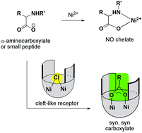 Selective complexation of α-amino acids and simple peptides via their ...