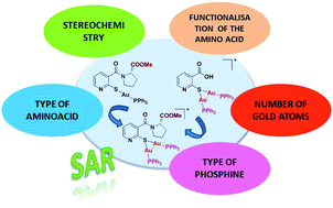 Gold(i) thiolates containing amino acid moieties. Cytotoxicity and ...