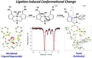 Meridional vs. facial coordination geometries of a dipodal ligand ...