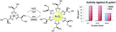 Bismuth(iii) complexes derived from α-amino acids: the impact of ...