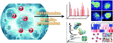 Metallomic and metalloproteomic strategies in elucidating the molecular ...