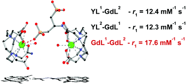 Optimizing the high-field relaxivity by self-assembling of macrocyclic ...