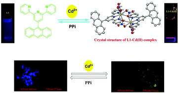 Cd(ii)-terpyridine-based complex as a ratiometric fluorescent probe for ...