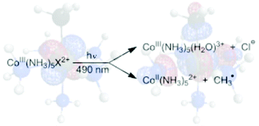 UV-visible spectroscopy of macrocyclic alkyl, nitrosyl and halide ...
