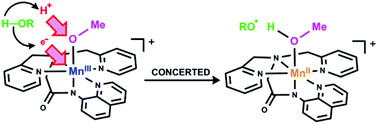 O–H bond oxidation by a monomeric MnIII–OMe complex - Dalton ...