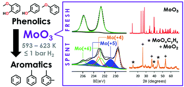 Insights into the catalytic activity and surface modification of MoO3 ...