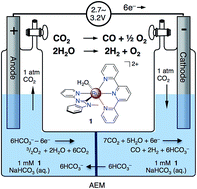 Single catalyst electrocatalytic reduction of CO2 in water to H2+CO ...