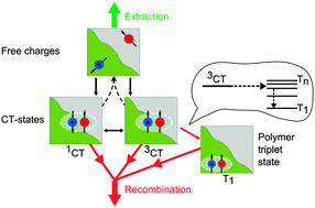 Sub-ns triplet state formation by non-geminate recombination in PSBTBT ...