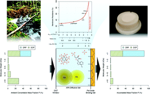 An in-depth assessment into simultaneous monitoring of dissolved ...