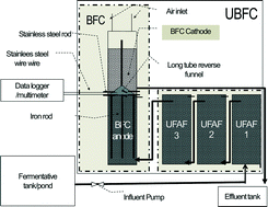 An economical upflow bio-filter circuit (UBFC): a biocatalyst microbial ...