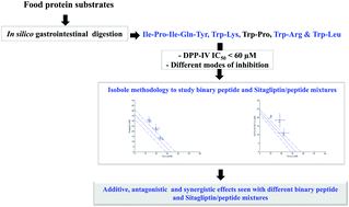 Utilisation of the isobole methodology to study dietary peptide–drug ...