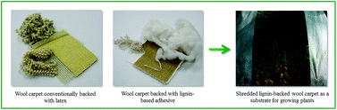 An enzymatic approach to develop a lignin-based adhesive for wool floor ...