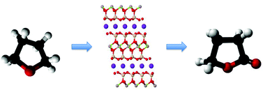 Oxidation of tetrahydrofuran to butyrolactone catalyzed by iron ...