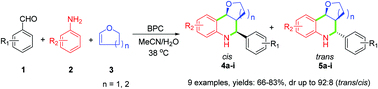 The α-chymotrypsin-catalyzed Povarov reaction: one-pot synthesis of ...