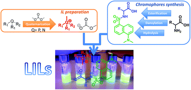 Luminescent dansyl-based ionic liquids from amino acids and ...