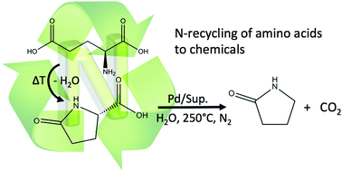 Pd-catalyzed decarboxylation of glutamic acid and pyroglutamic acid to ...