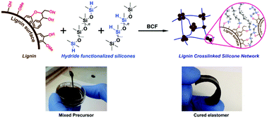 Utilization of softwood lignin as both crosslinker and reinforcing ...