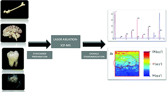 Current approaches to calibration of LA-ICP-MS analysis - Journal of ...