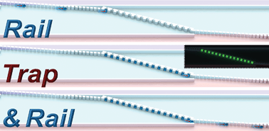 Dual-mode hydrodynamic railing and arraying of microparticles for multi-stage signal detection ...