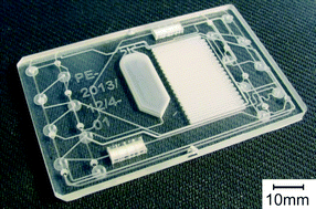 A solvent resistant lab-on-chip platform for radiochemistry ...