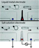Generating electric fields in PDMS microfluidic devices with salt water ...